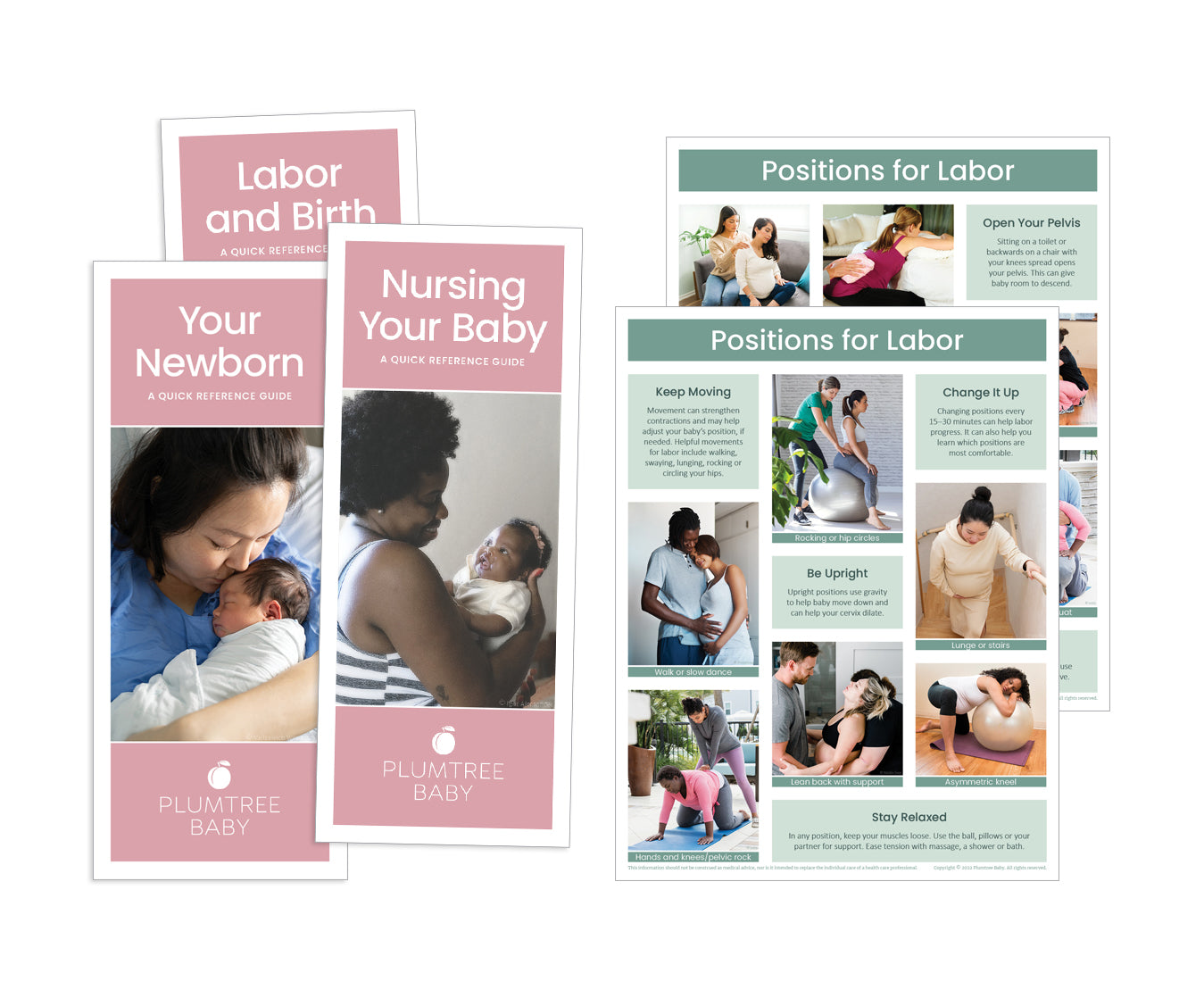 Newborn Care Handouts Understanding Breastfeeding Book + Web App