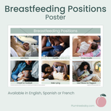Breastfeeding Positions Poster – Plumtree Baby