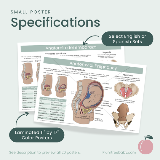 Desktop Poster Display – Plumtree Baby