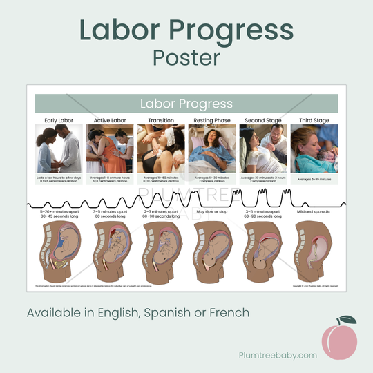 Posters – Plumtree Baby