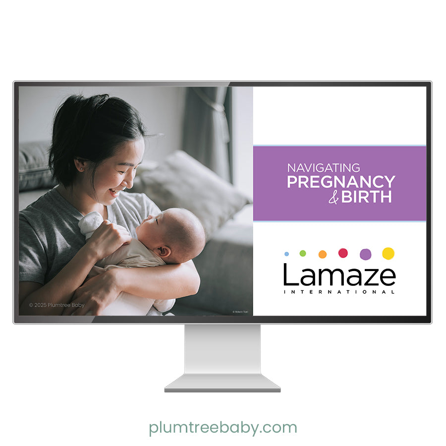 Lamaze Navigating Pregnancy & Birth PowerPoint – Plumtree Baby