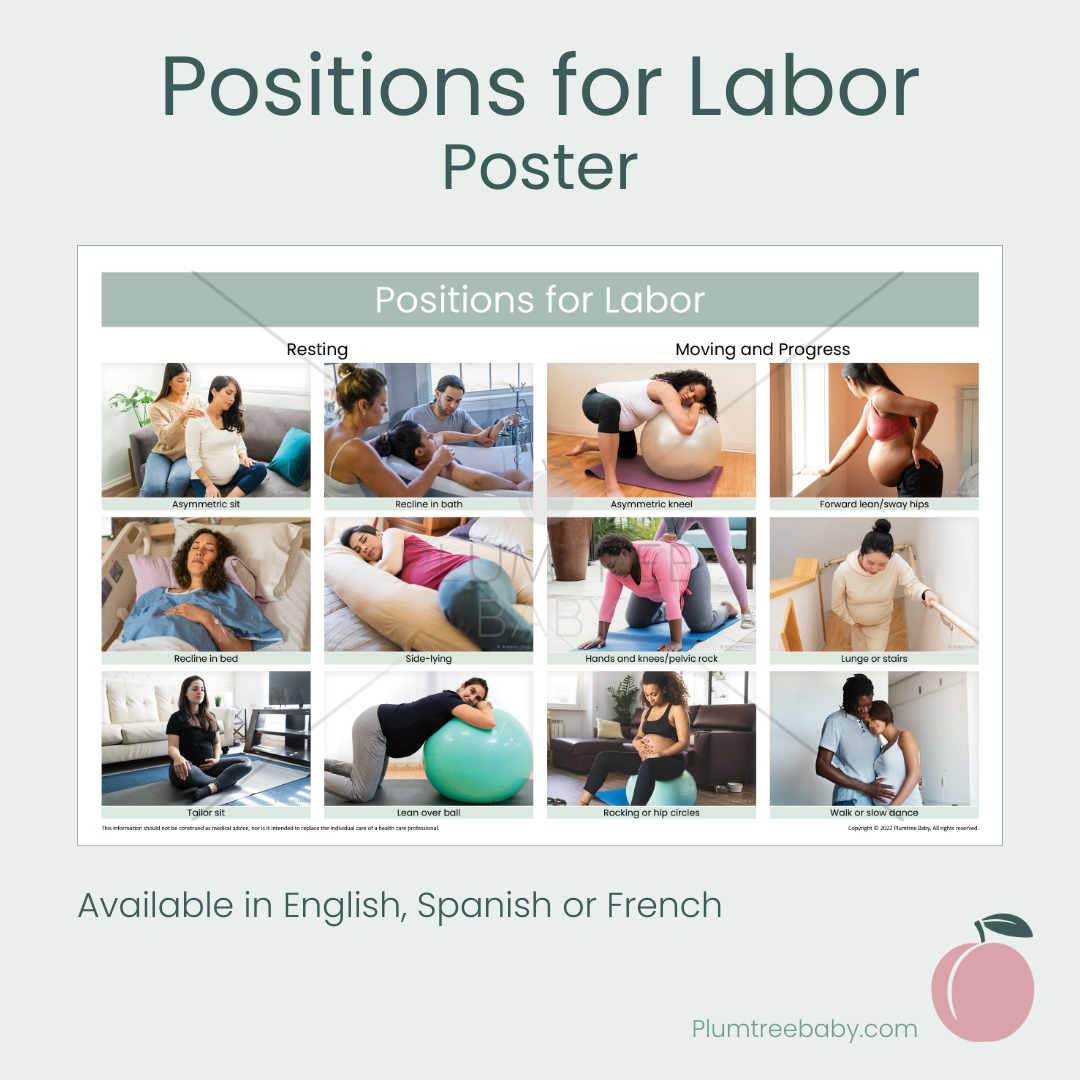 Positions for Labor Poster – Plumtree Baby
