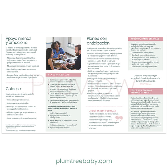 Labor Support Quick Reference Guides - Pack of 50 – Plumtree Baby