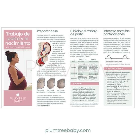 Prenatal Welcome Packets – Plumtree Baby