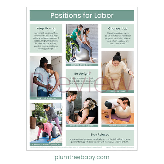 Positions for Labor Handouts - Pack of 50 – Plumtree Baby