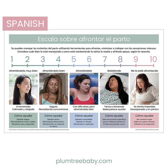 Labor Coping Scale Poster – Plumtree Baby